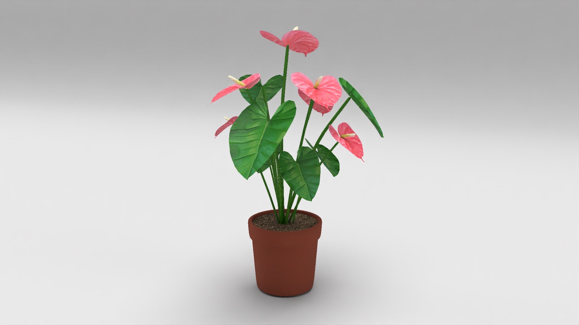 3D Plant Flowers Model - TurboSquid 1618318