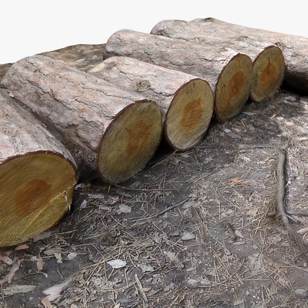 3d tree log 3