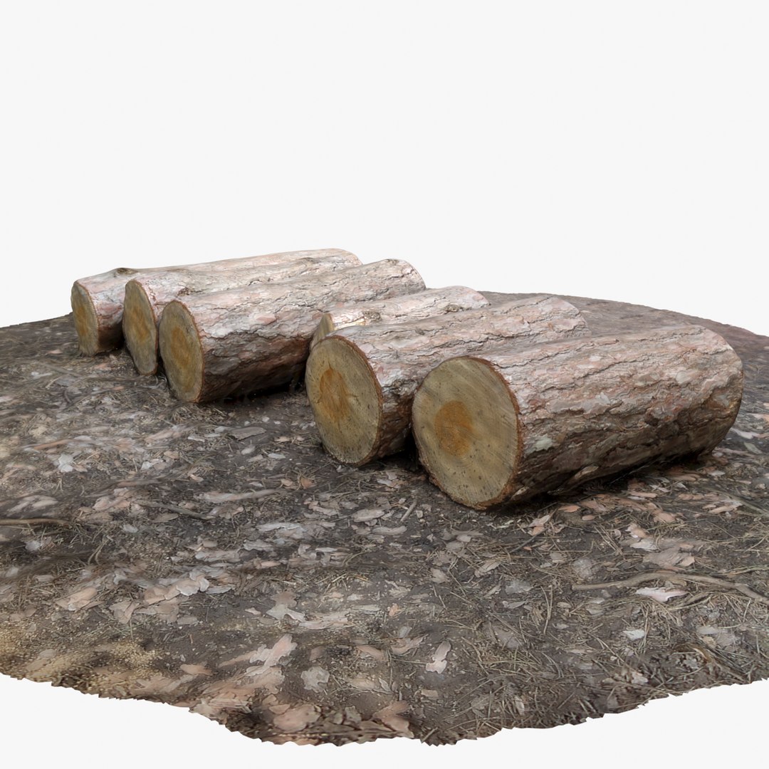 3d tree log 3