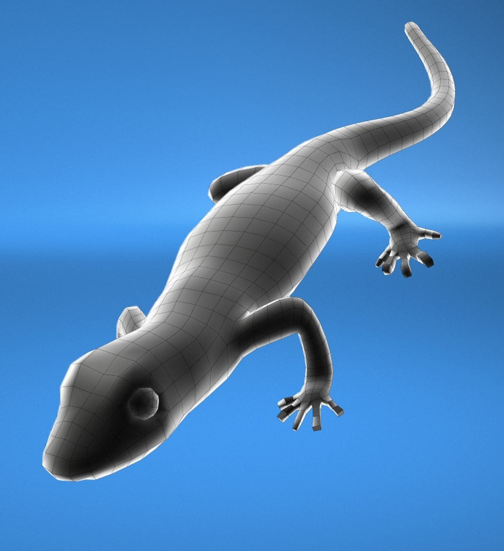 Salamander Obj
