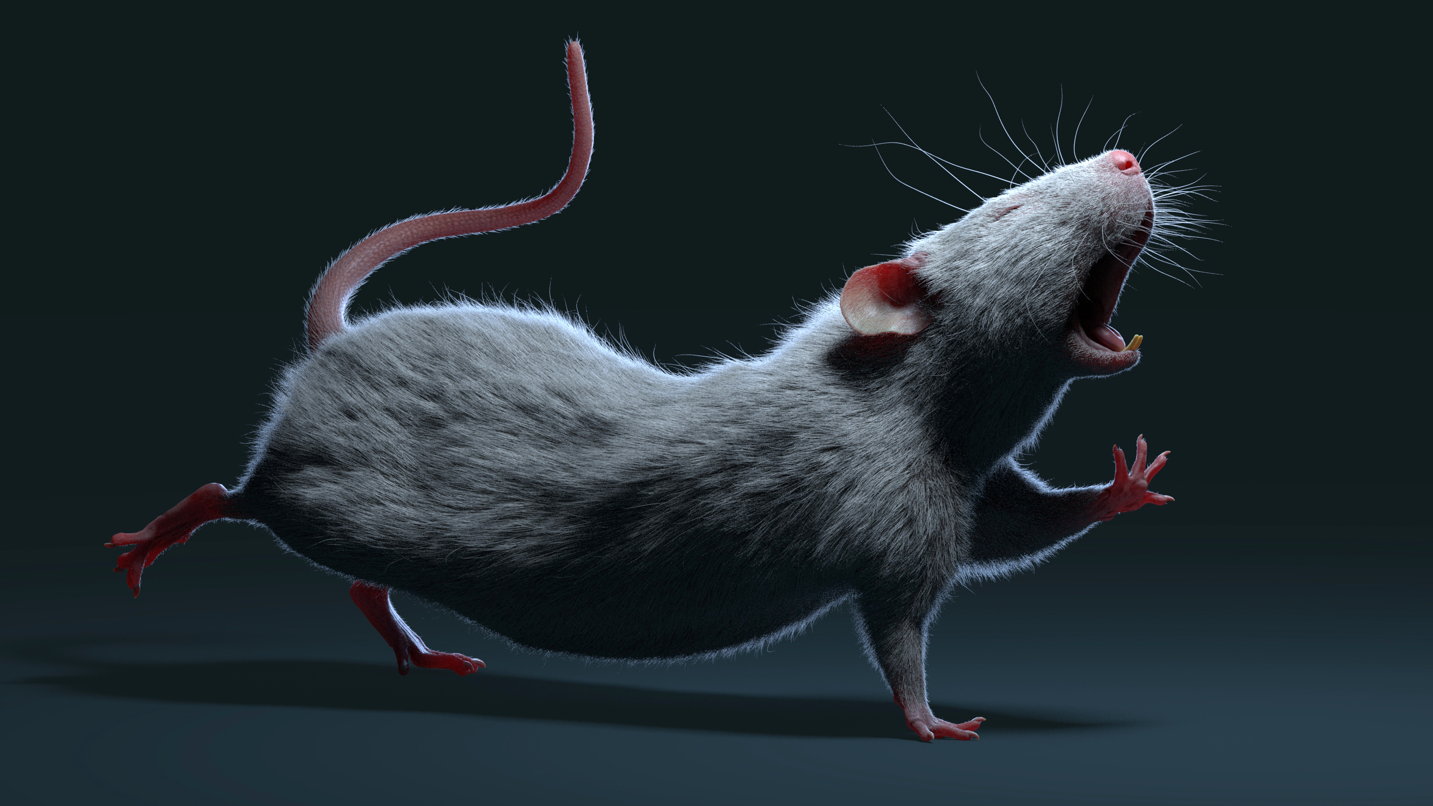 3D rat rigged fur animations model - TurboSquid 1502888