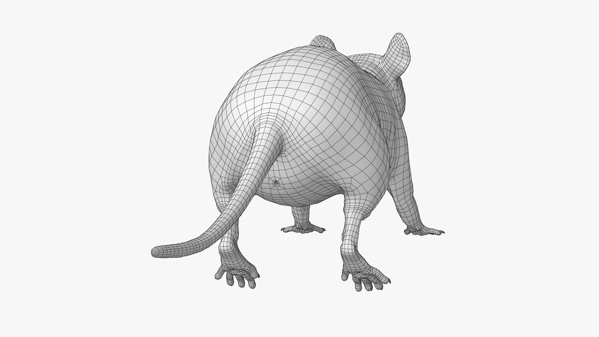 3D Rat Rigged Fur Animations Model - TurboSquid 1502888