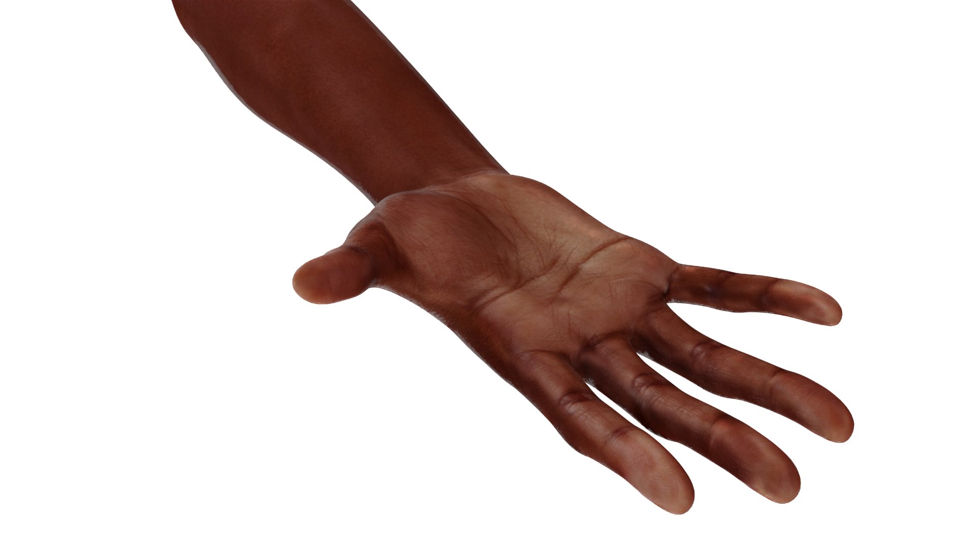 3D Model Dark Skinned Woman Hands Rigged For Cinema 4D - TurboSquid 2194825
