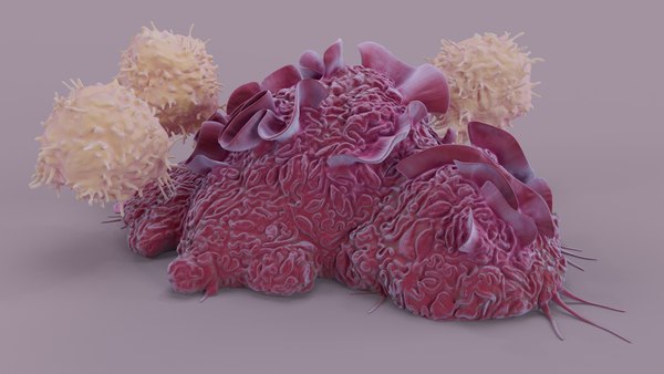 modelo 3d CancerCell and T-Cells - TurboSquid 2045769