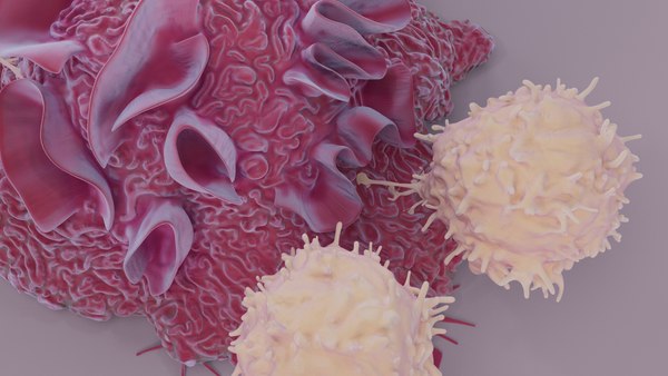 modelo 3d CancerCell and T-Cells - TurboSquid 2045769