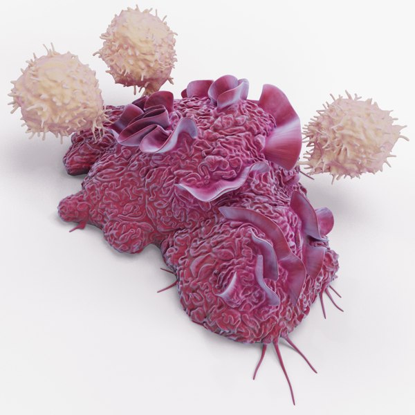 3D CancerCell and T-Cells model - TurboSquid 2045769
