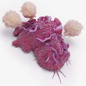 3D Cancer Cell Models - Browse & Download Formats - TurboSquid