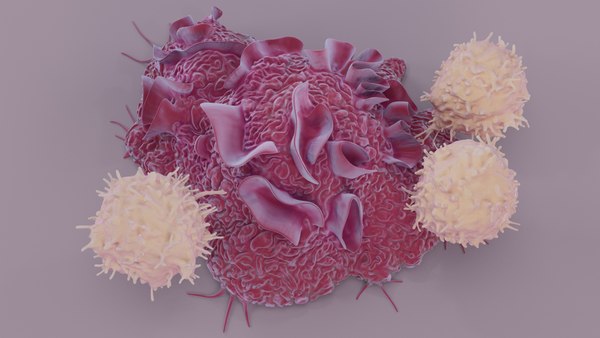 modelo 3d CancerCell and T-Cells - TurboSquid 2045769
