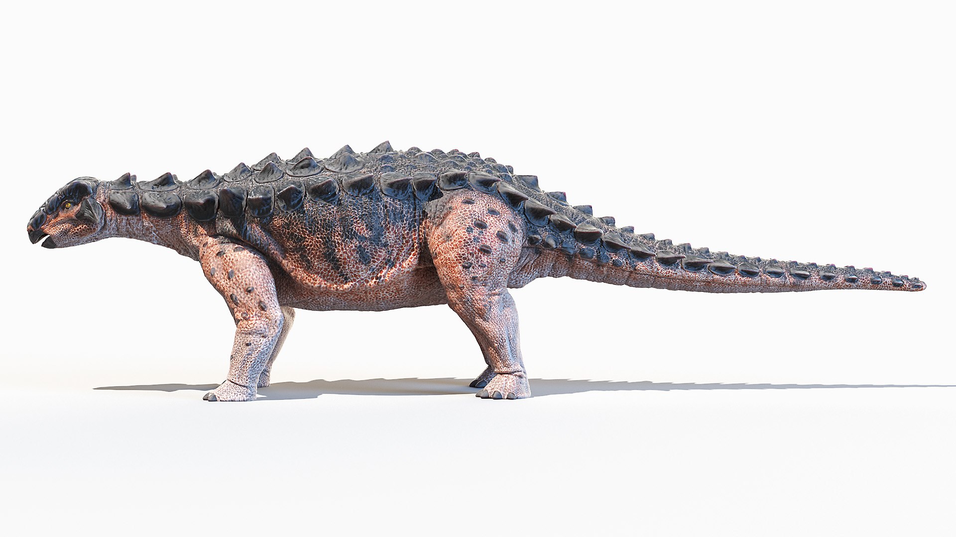 Europelta 3D - TurboSquid 1667708