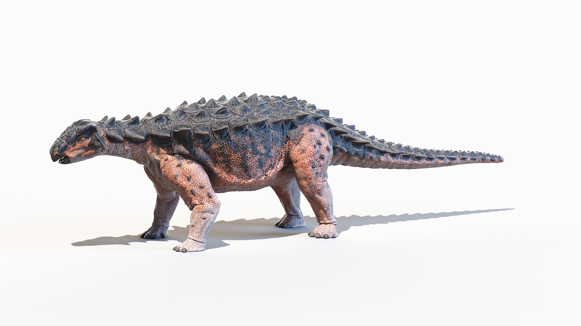 Europelta 3D - TurboSquid 1667708