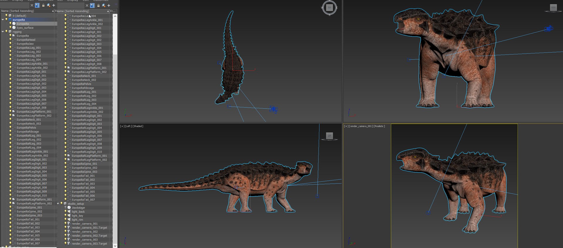 Europelta 3D - TurboSquid 1667708