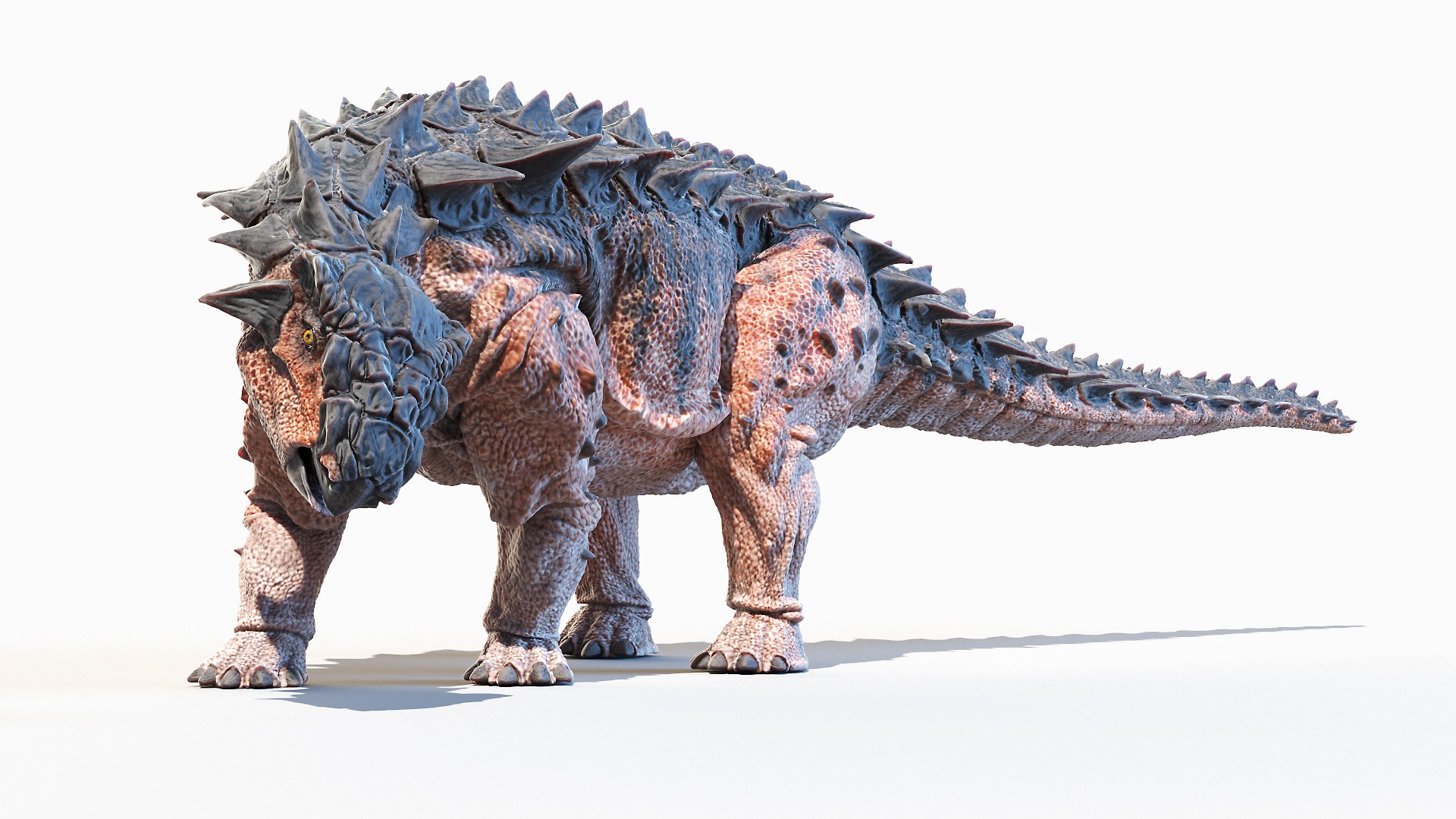 Europelta 3D - TurboSquid 1667708