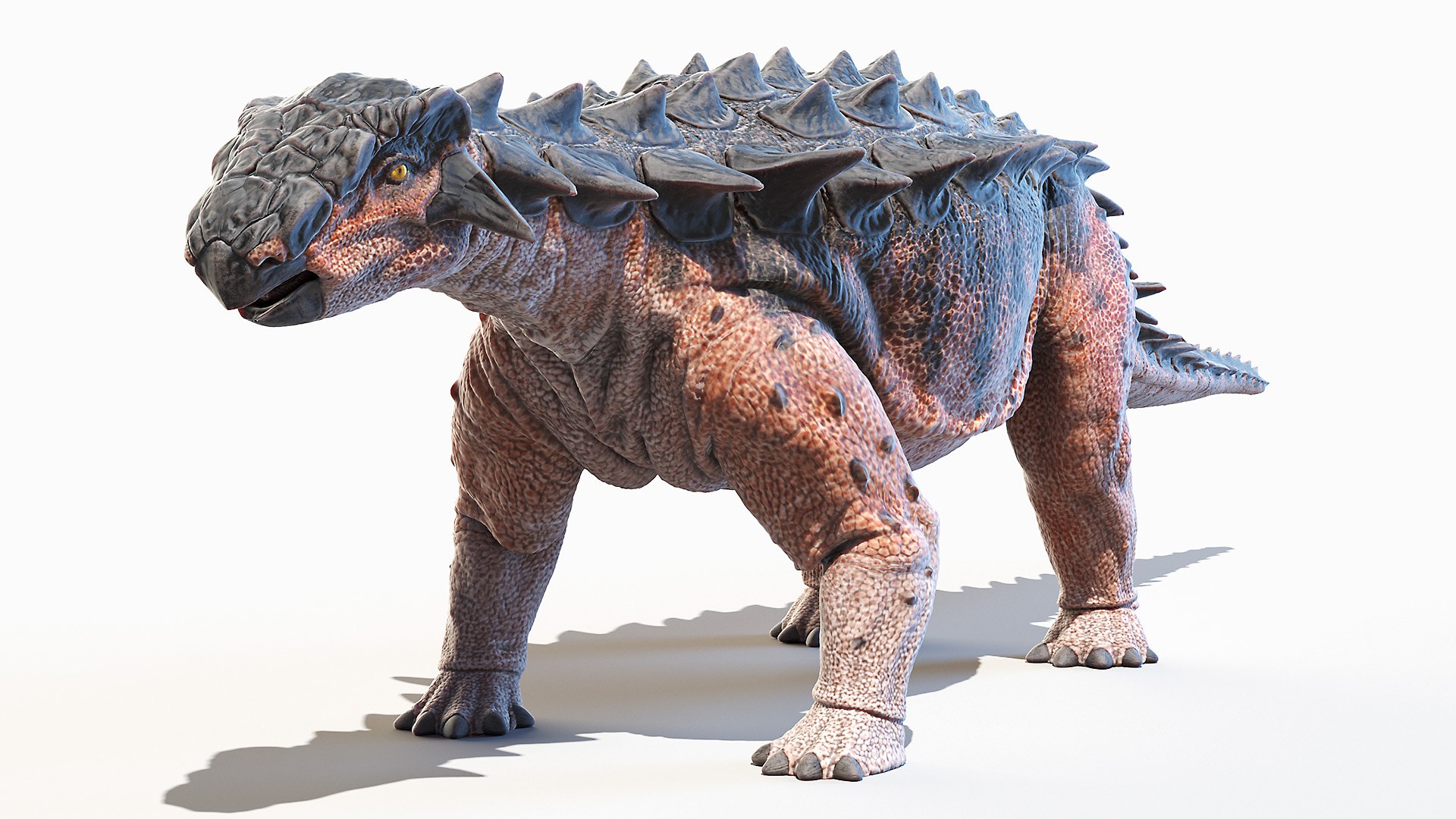 Europelta 3D - TurboSquid 1667708