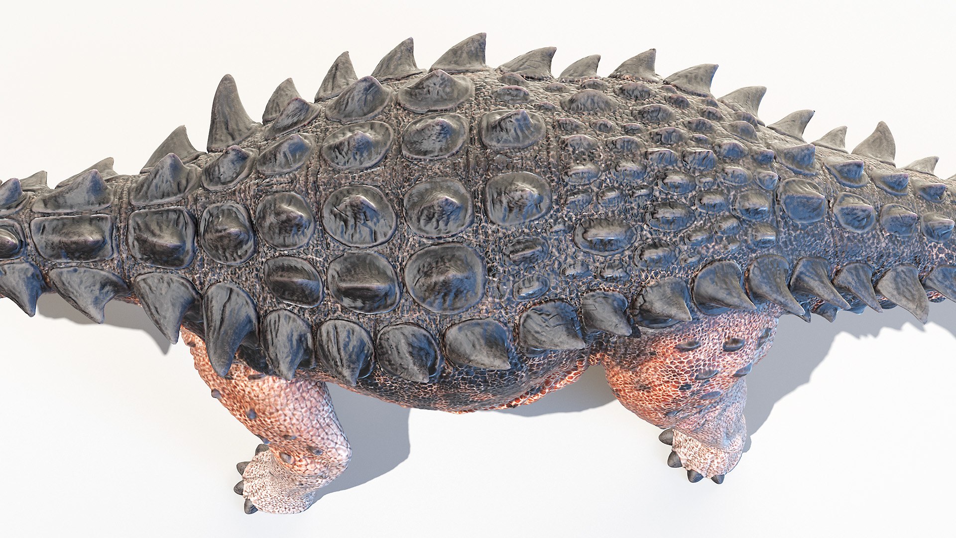 Europelta 3D - TurboSquid 1667708