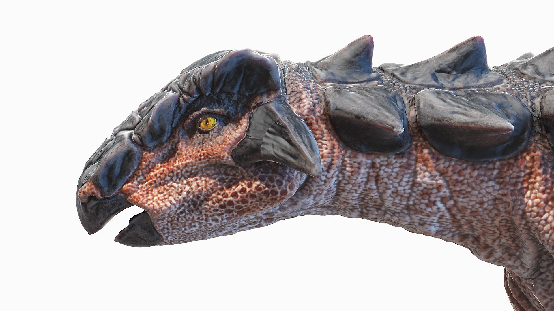 Europelta 3D - TurboSquid 1667708