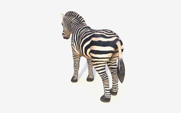 Zebra animations 3D - TurboSquid 1653328