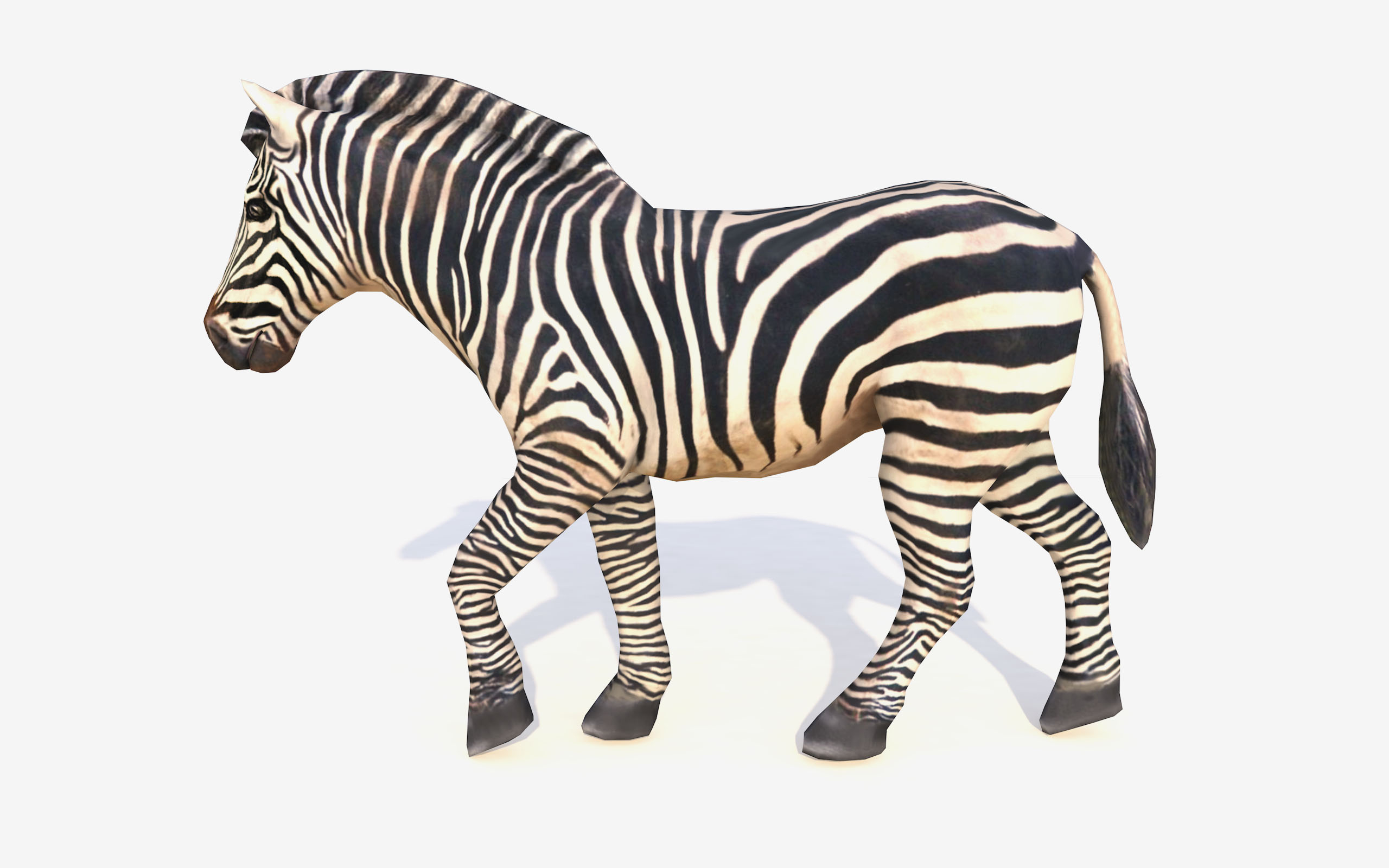 Zebra animations 3D - TurboSquid 1653328