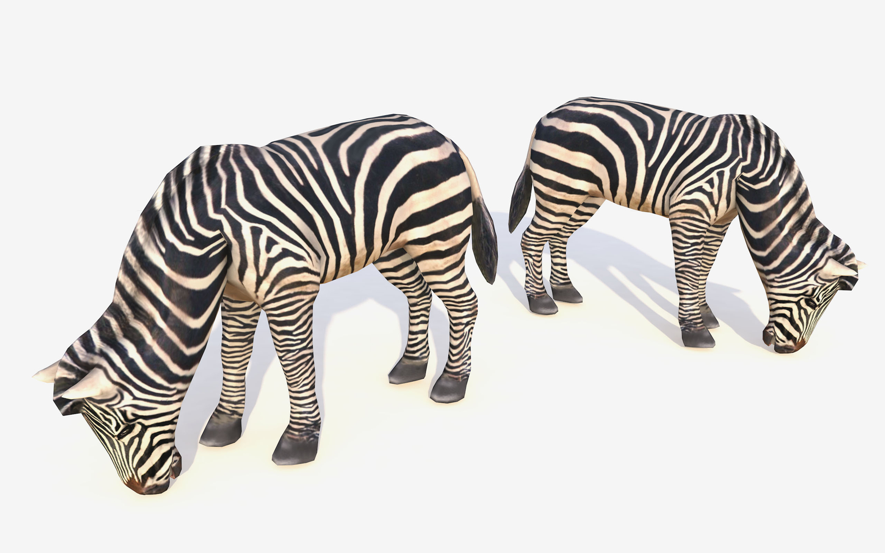 Zebra animations 3D - TurboSquid 1653328