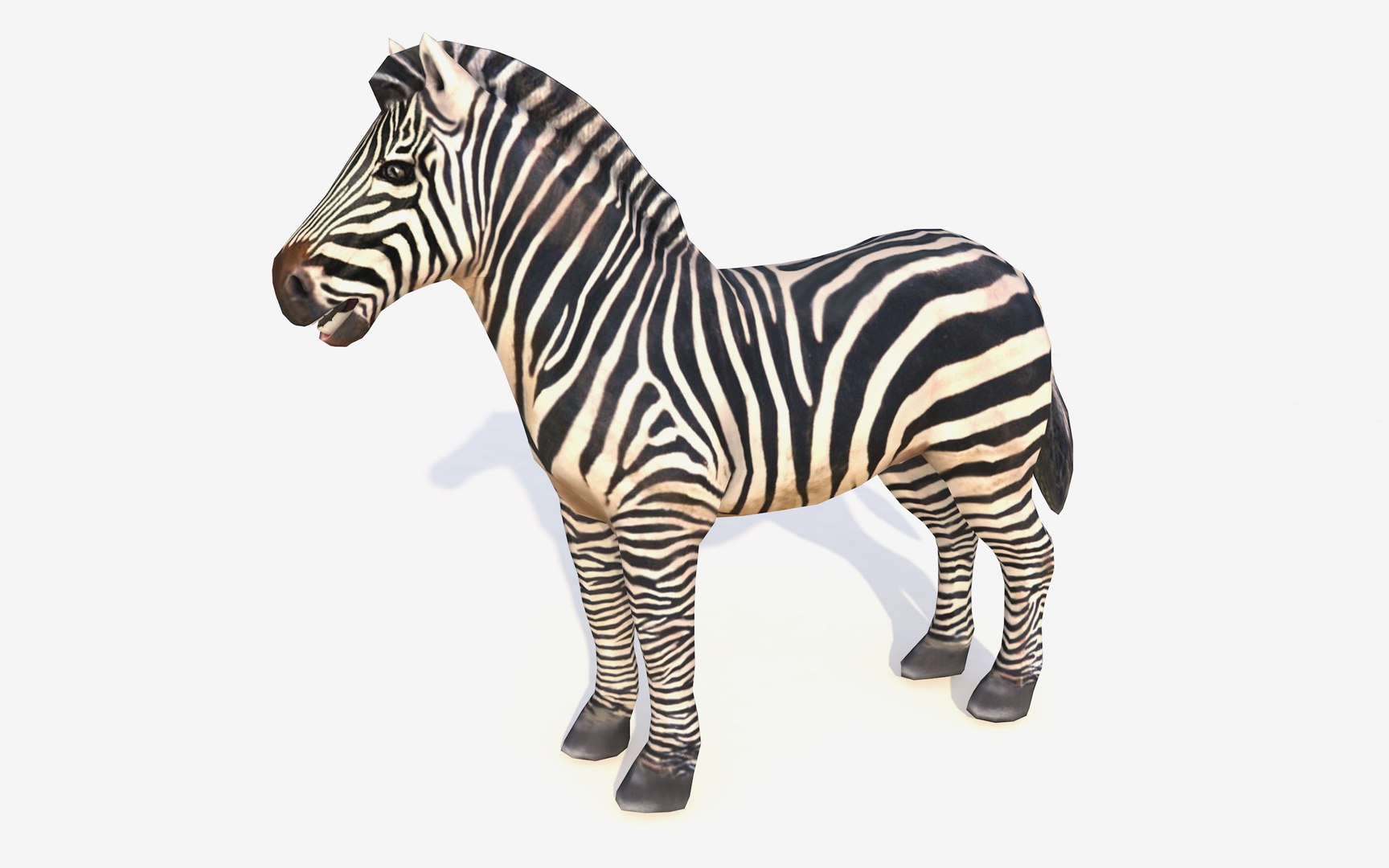 Zebra Animations 3D - TurboSquid 1653328