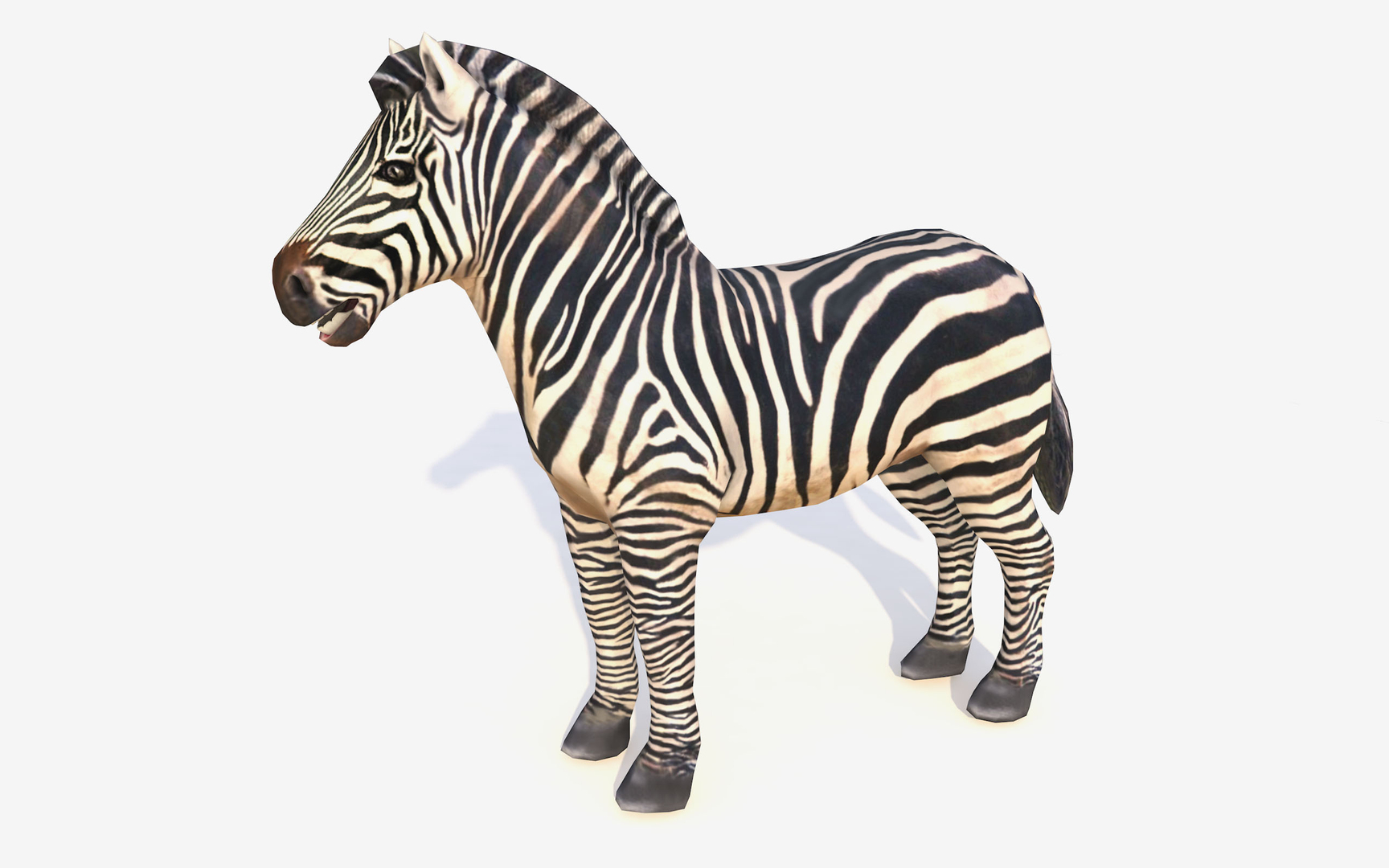 Zebra animations 3D - TurboSquid 1653328