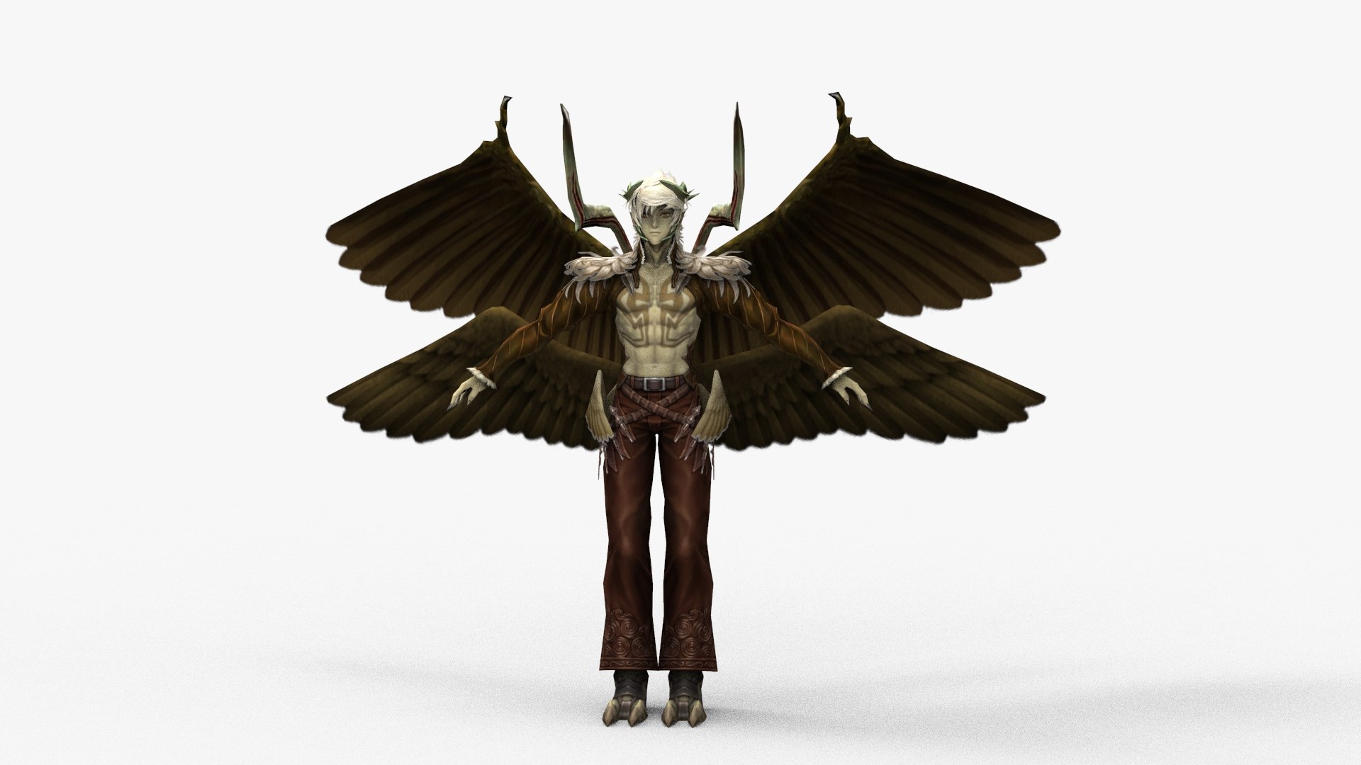 3D Fergus-bird Man - TurboSquid 1715840