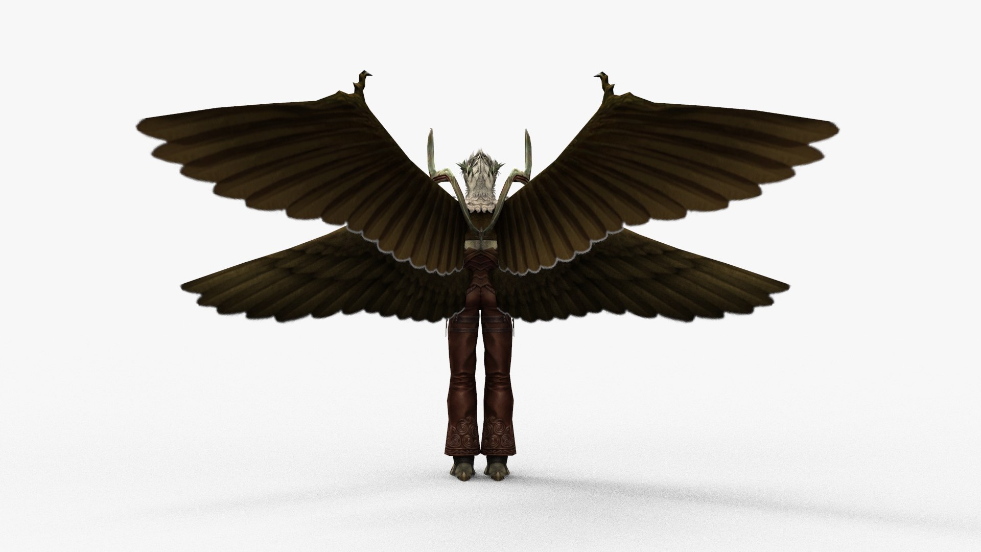3D Fergus-bird Man - TurboSquid 1715840