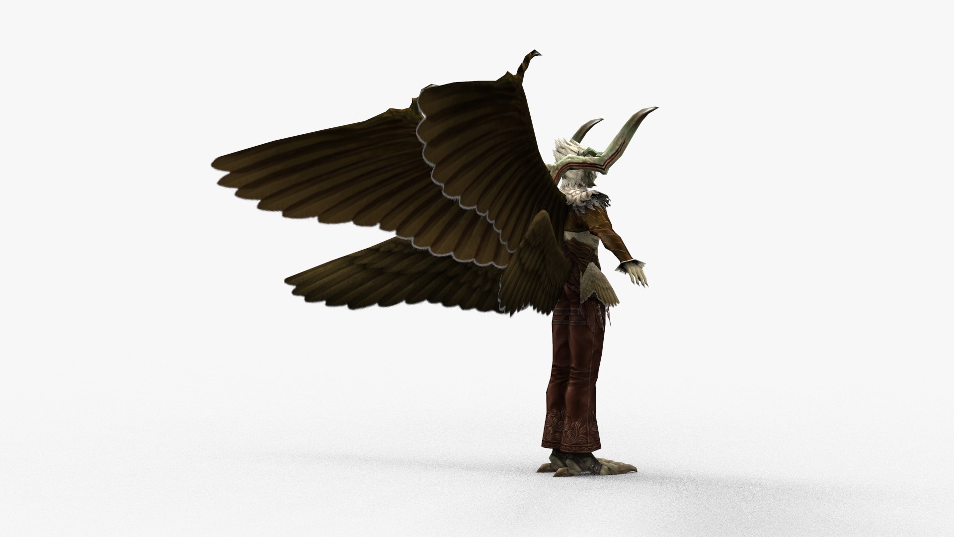 3D Fergus-bird Man - TurboSquid 1715840