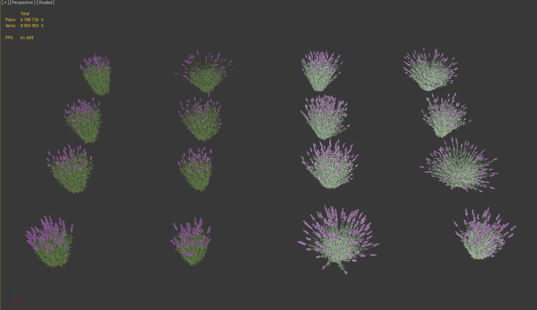 Lavandula Pack 02 Flowers 3D Model - TurboSquid 1387000