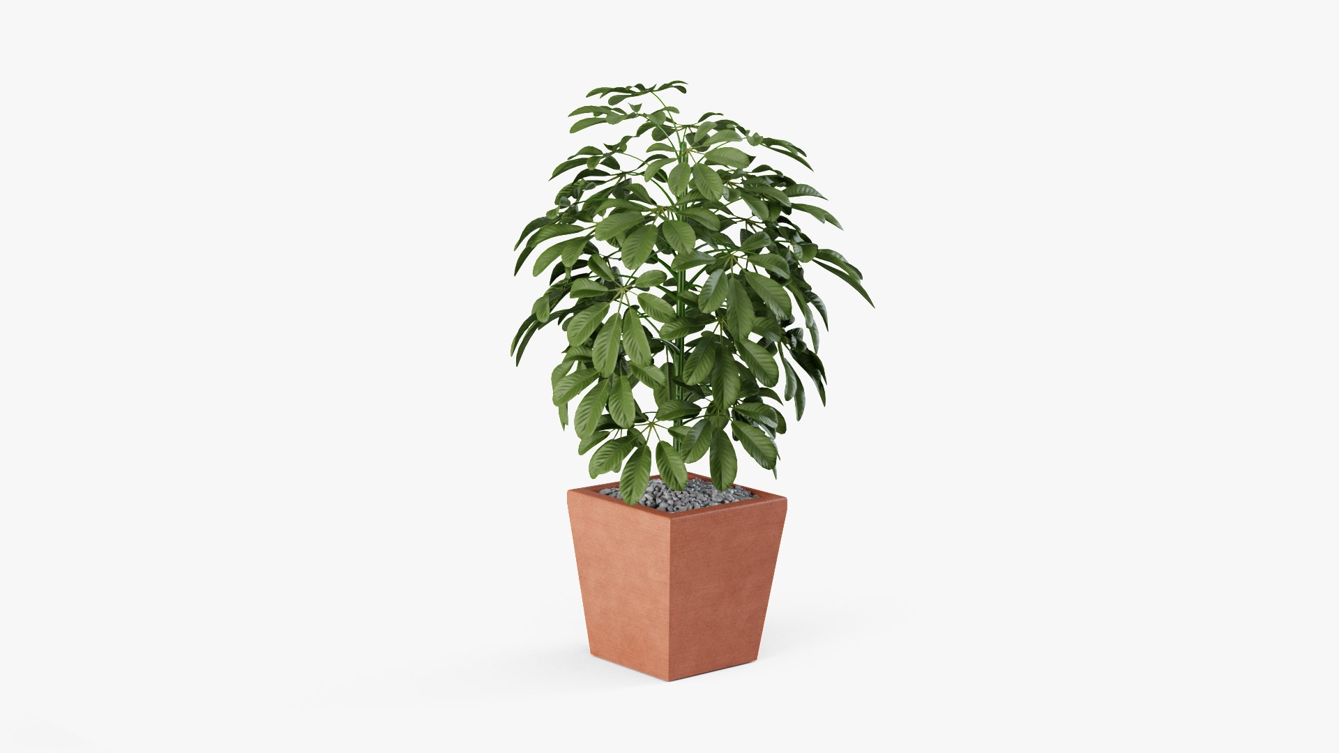 3D Plant Design Modeled - TurboSquid 1499592