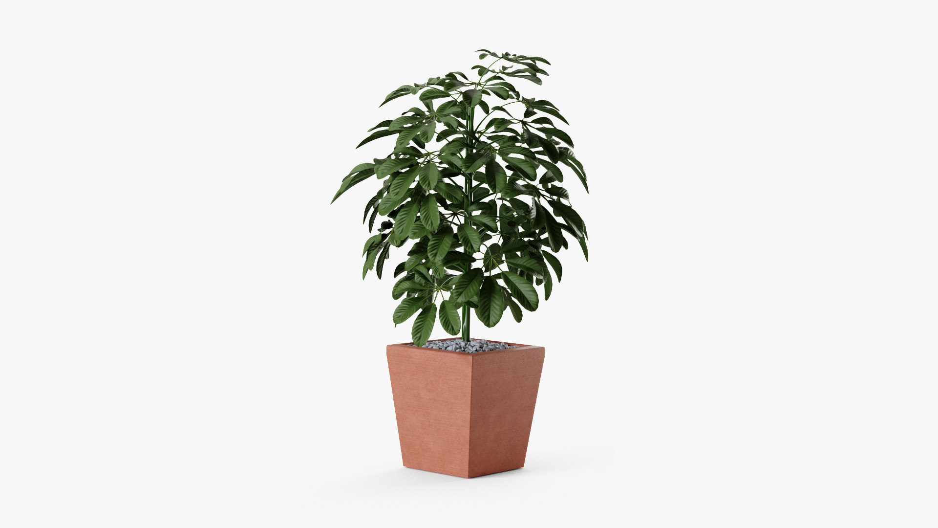 3D Plant Design Modeled - TurboSquid 1499592