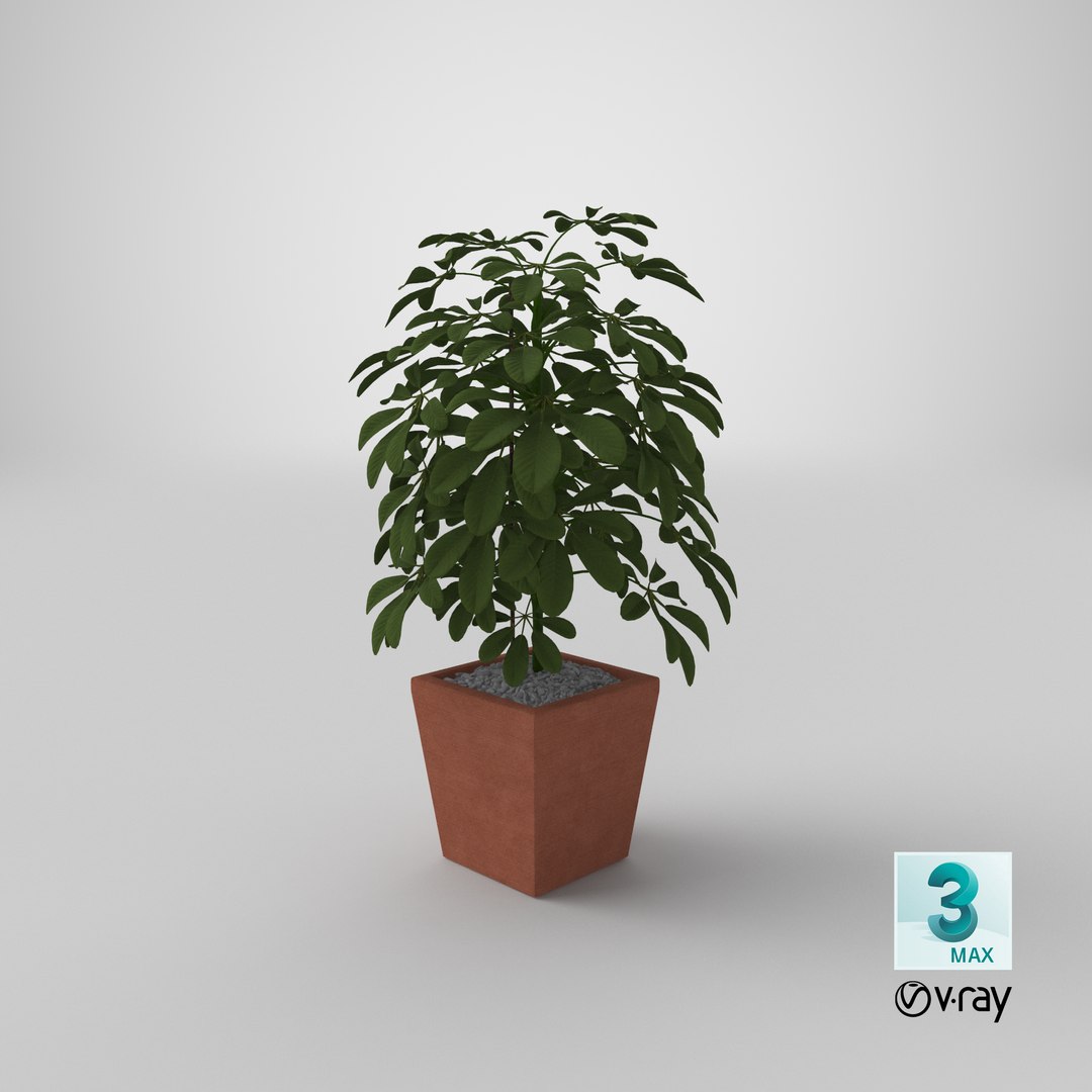 3D Plant Design Modeled - TurboSquid 1499592