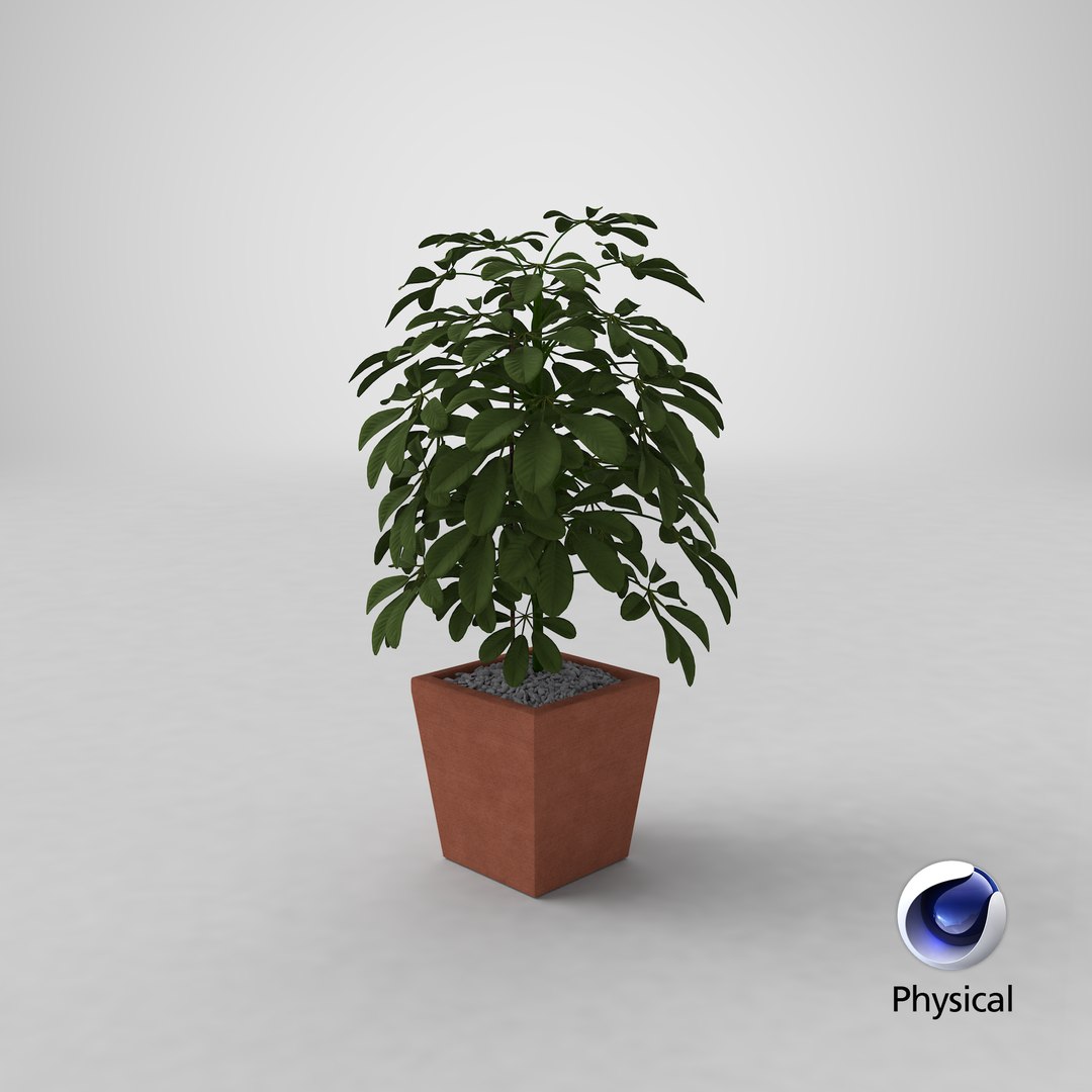 3D Plant Design Modeled - TurboSquid 1499592