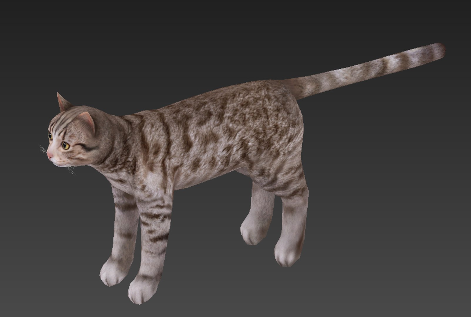 3D Cat - TurboSquid 1608299