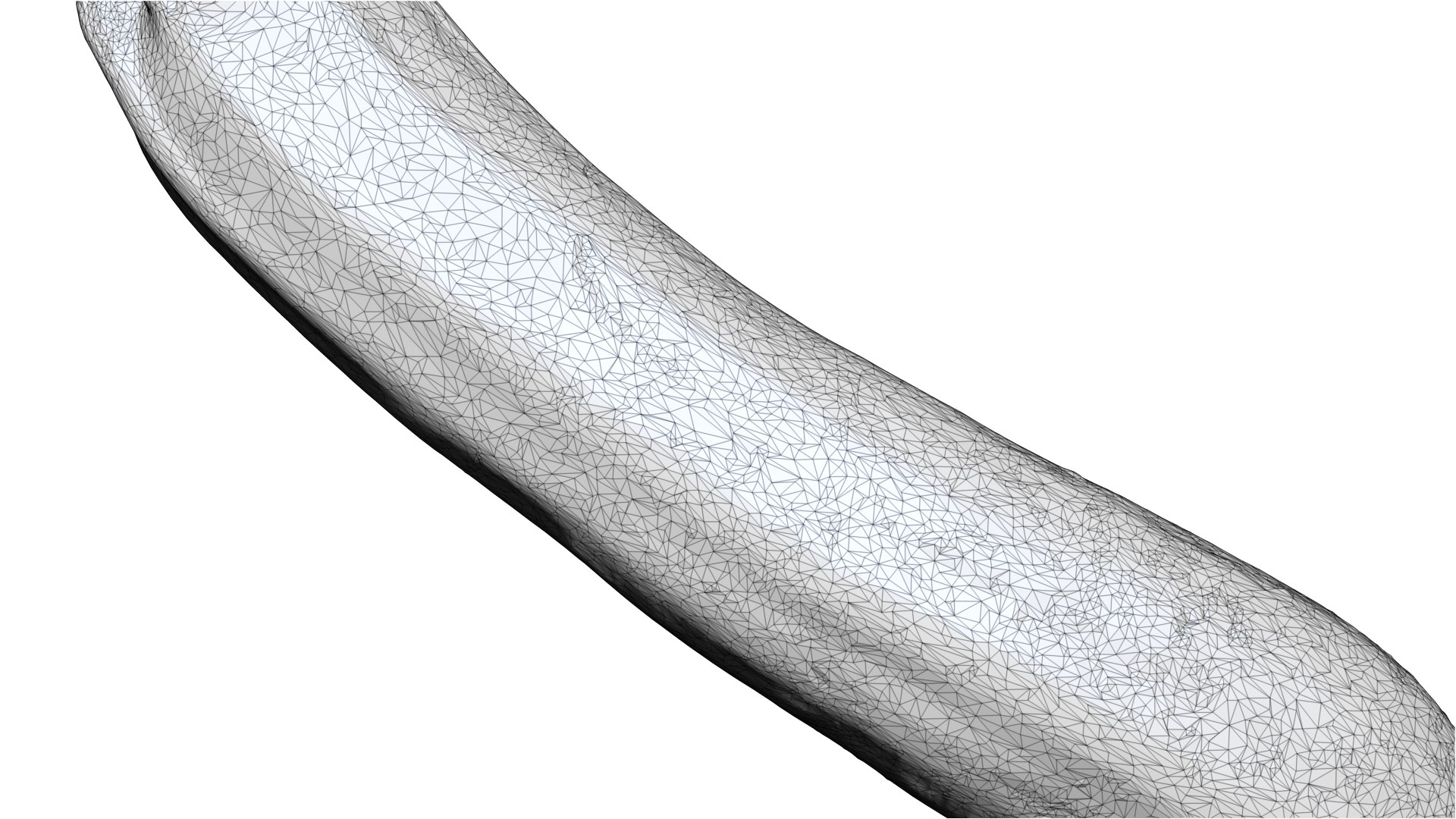 Zucchini 3D CT Scan Model Decimate 3 Percent 3D - TurboSquid 1932387