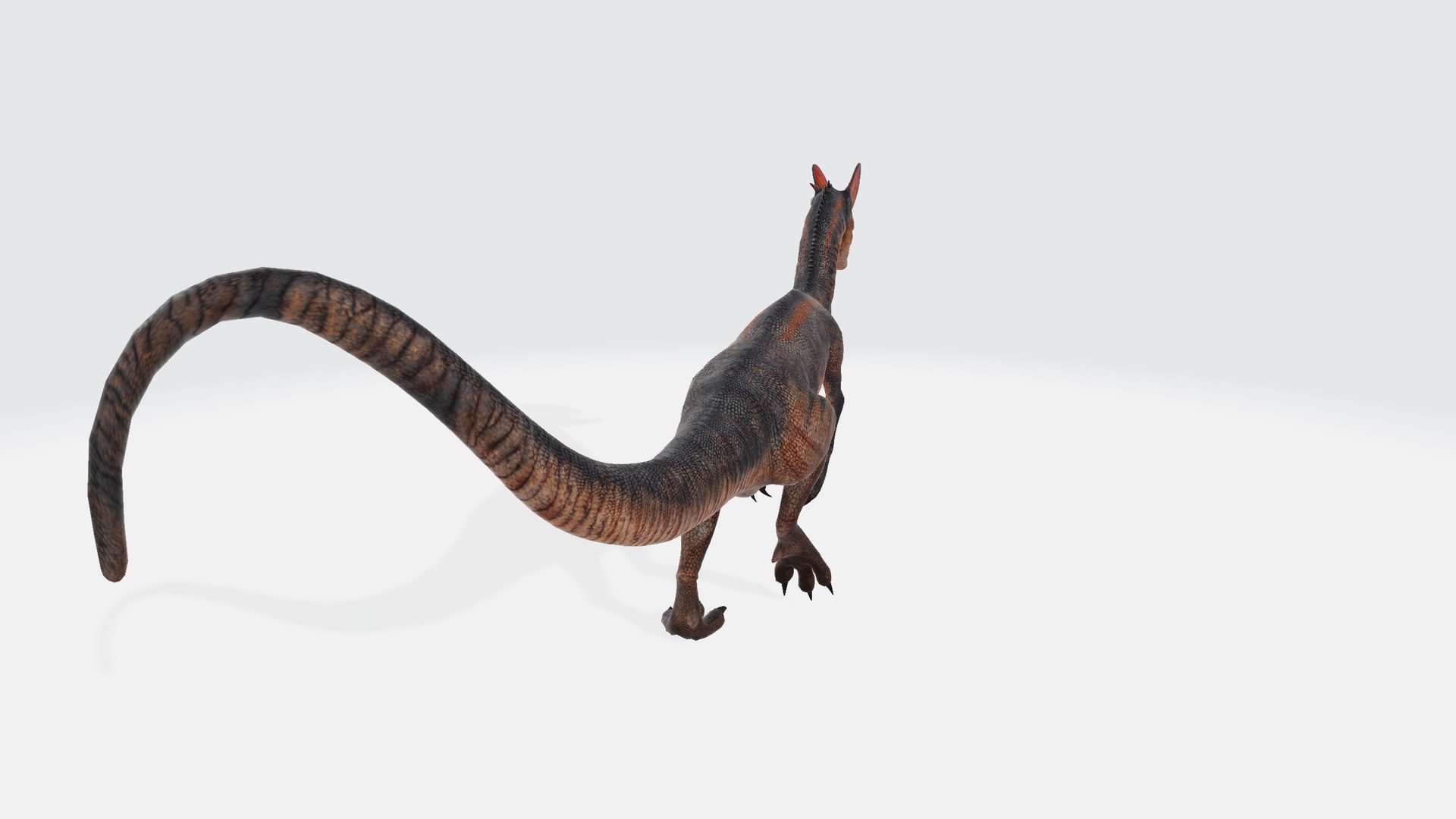 3D Dilophosaurus Model - TurboSquid 2346290
