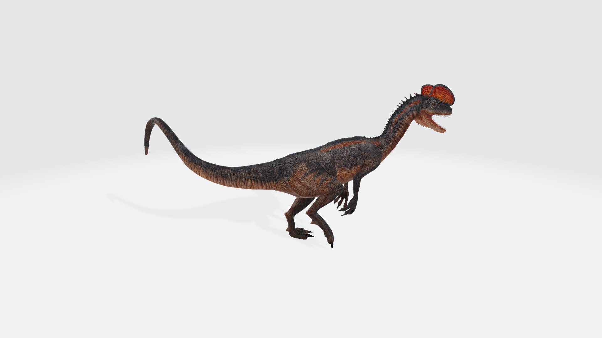 3D Dilophosaurus Model - TurboSquid 2346290