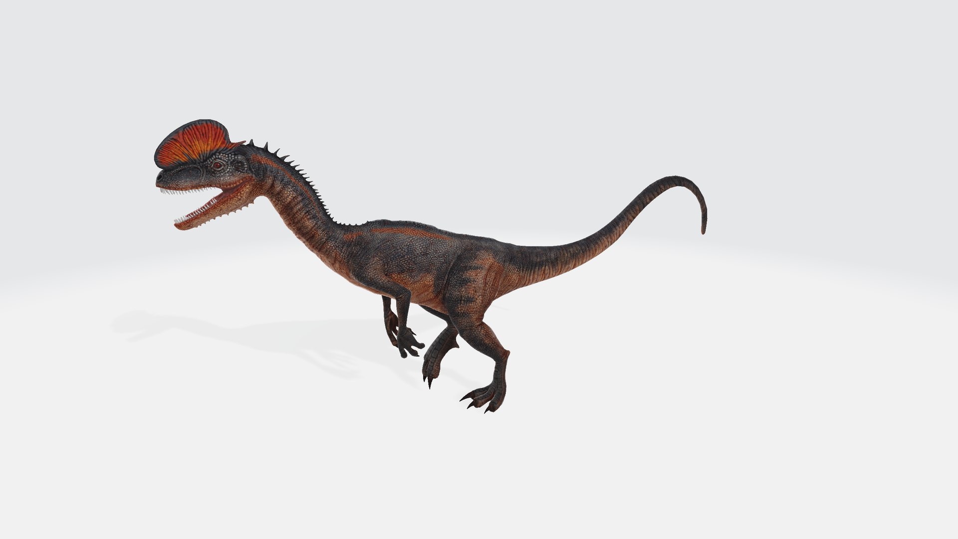 3D Dilophosaurus Model - TurboSquid 2346290