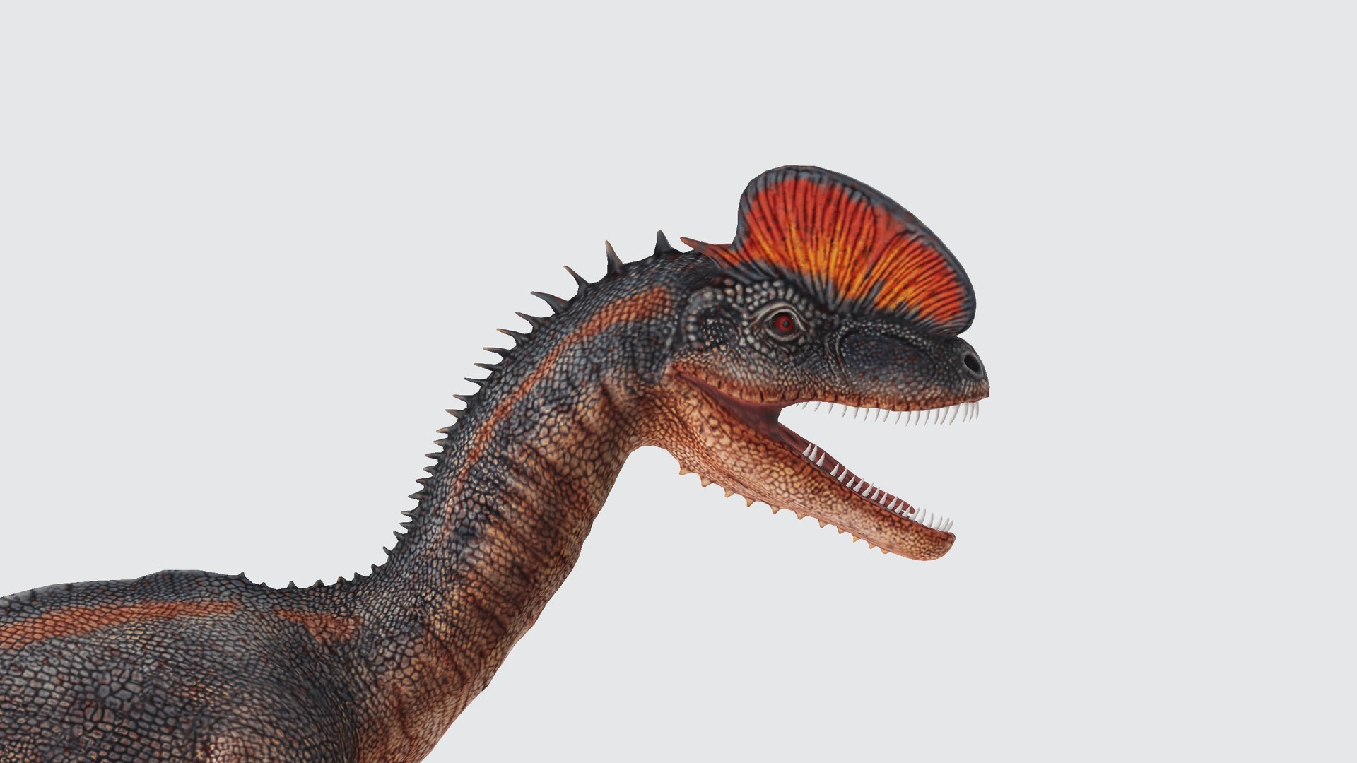 3D Dilophosaurus Model - TurboSquid 2346290