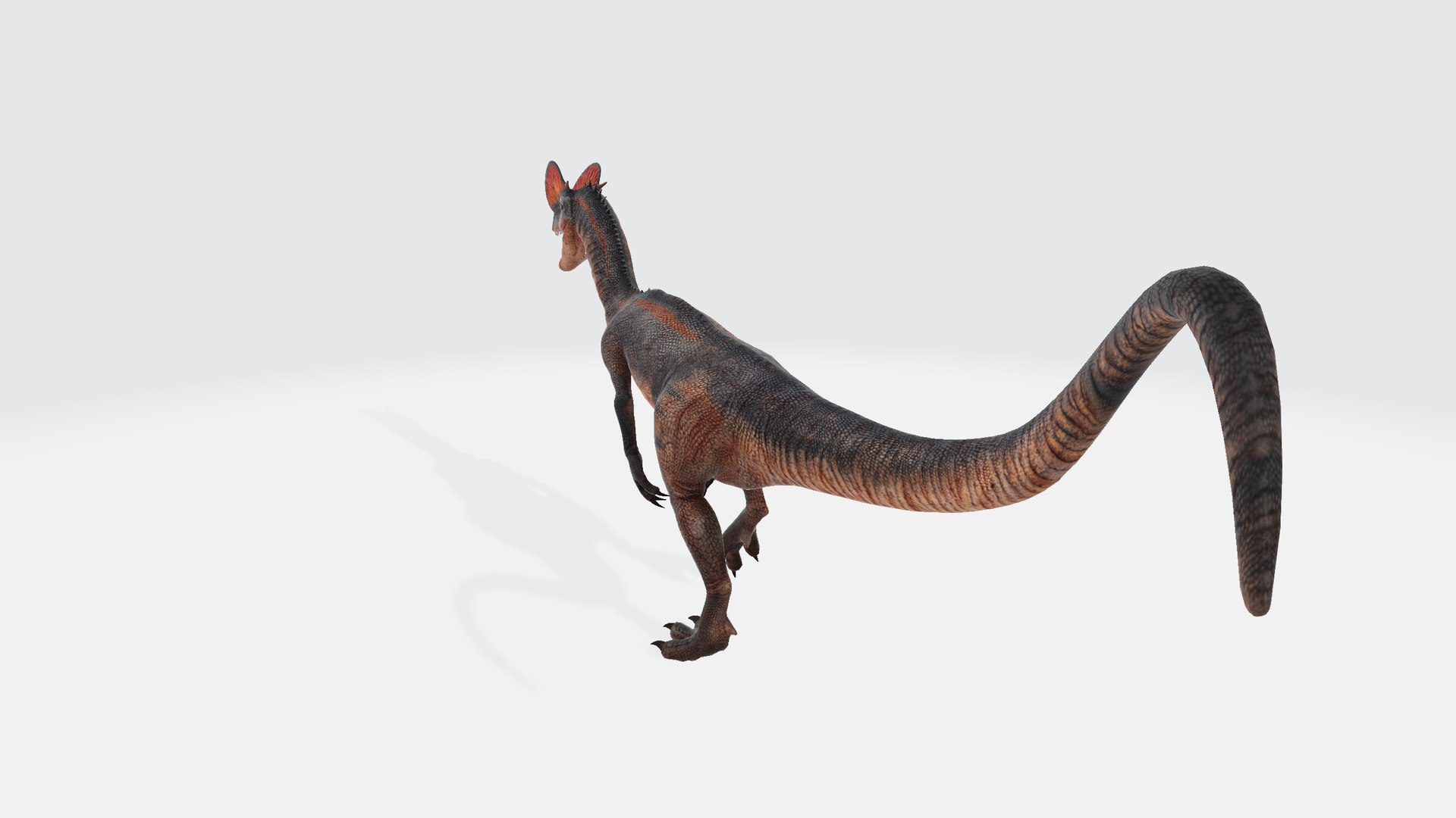 3D Dilophosaurus Model - TurboSquid 2346290