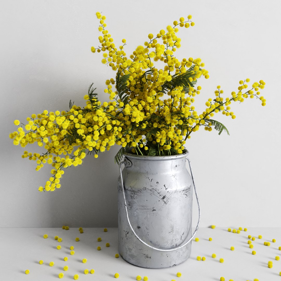 Mimosa Bouquet 3D Model - TurboSquid 1572316