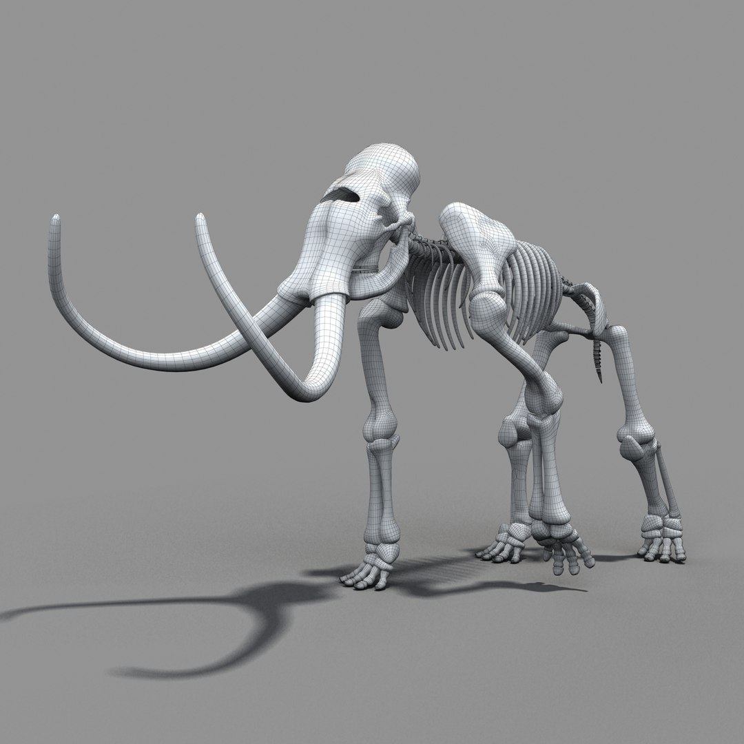 Mammoth Skeleton Bone Max