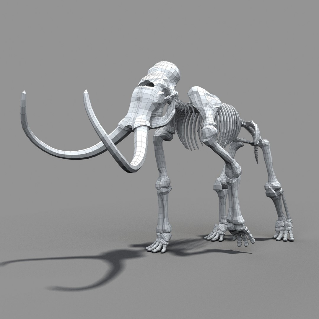 Mammoth Skeleton Bone Max