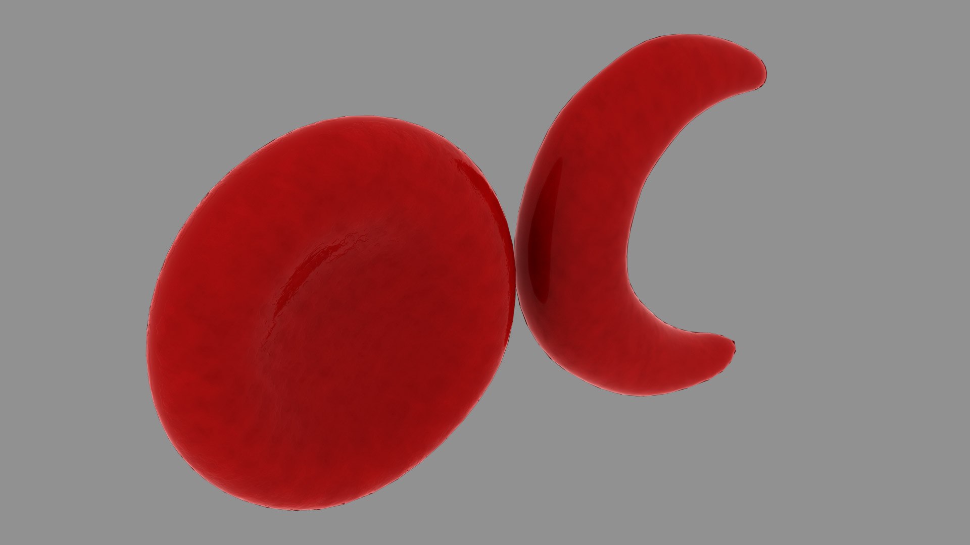 3D Red Blood Cell And Sickle Blood Cell Model - TurboSquid 2355176