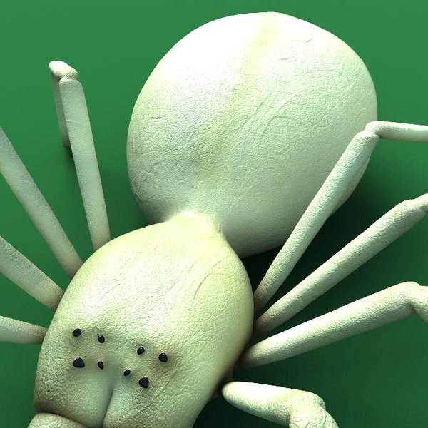 3d rig spider model