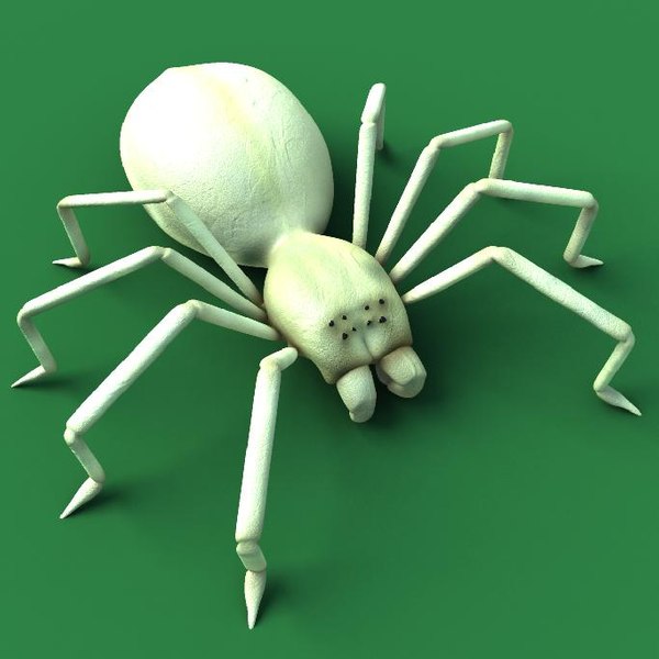 3d rig spider model
