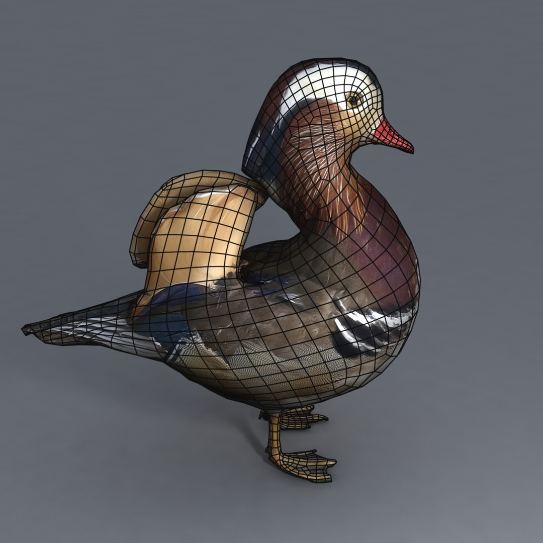 3d Fbx Duck