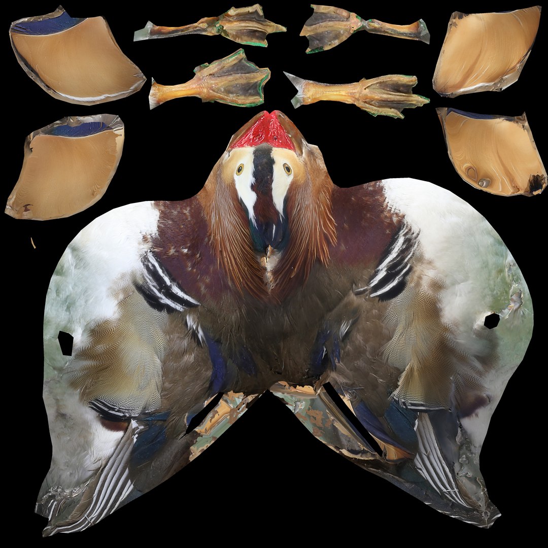 3d Fbx Duck