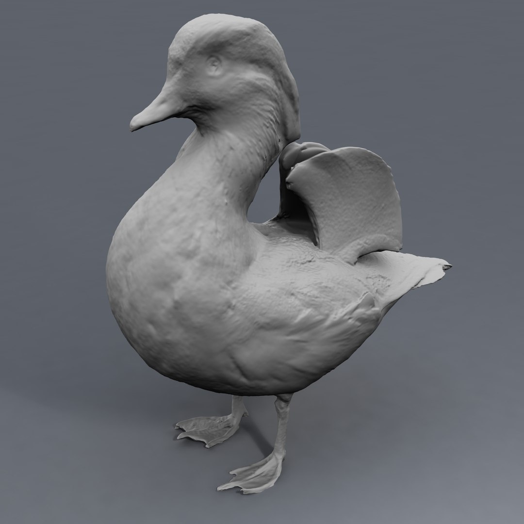 3d Fbx Duck
