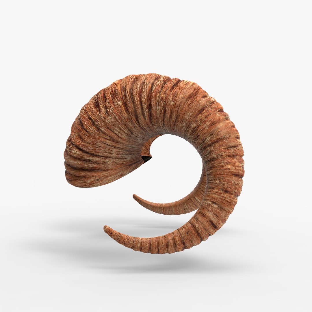 Horn Ram 3D Model - TurboSquid 1209789