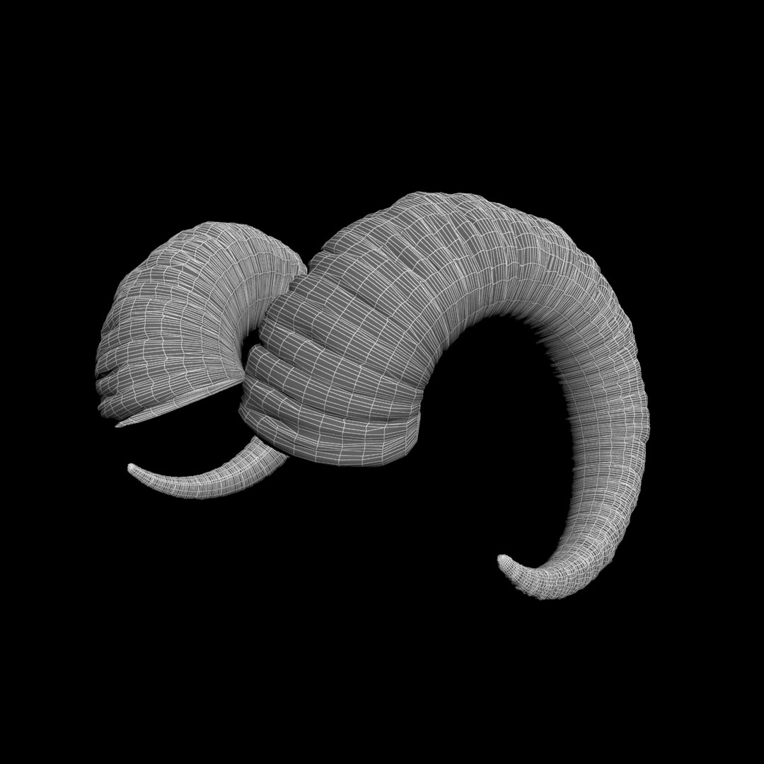 Horn Ram 3D Model - TurboSquid 1209789